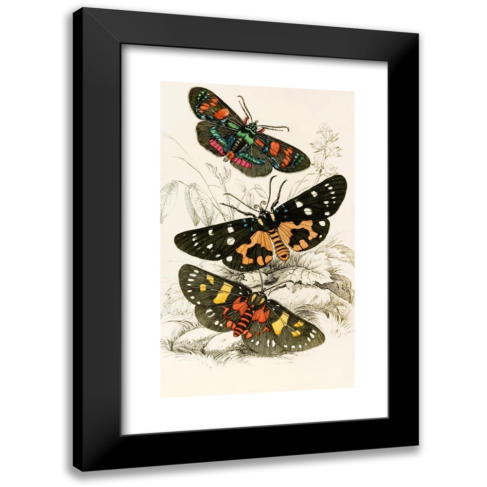 James Duncan 10x14 Black Modern Framed Museum Art Print Titled ...