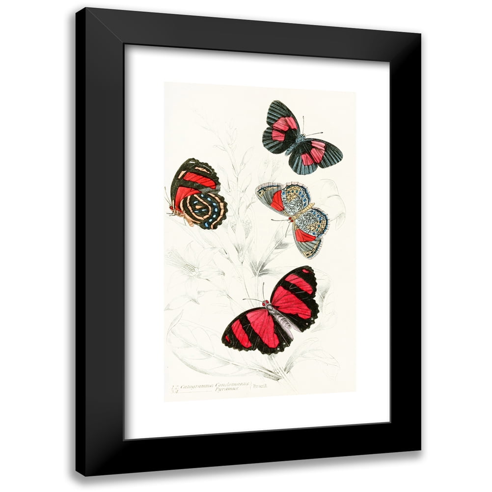 James Duncan 12x18 Black Modern Framed Museum Art Print Titled ...