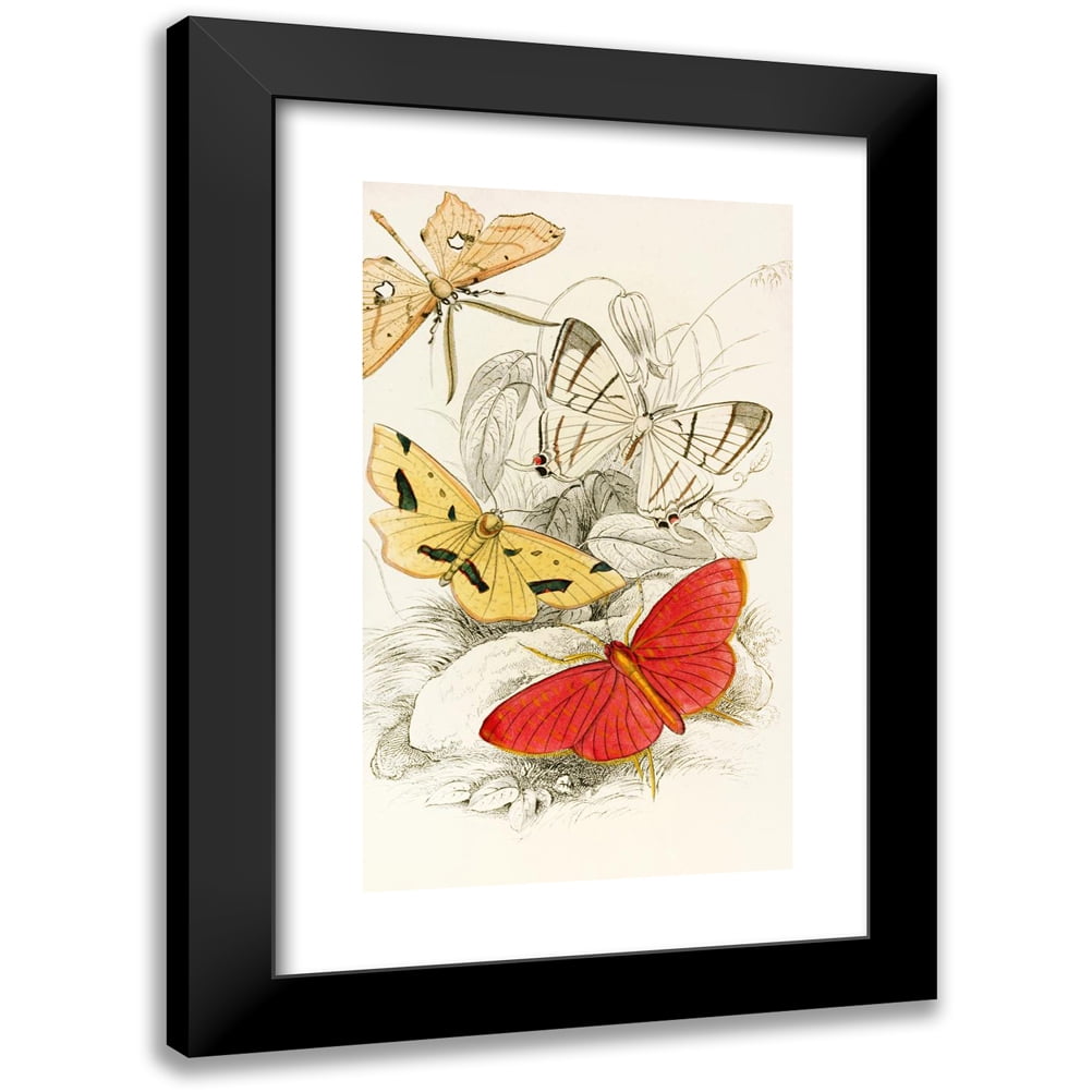 James Duncan 16x24 Black Modern Framed Museum Art Print Titled ...