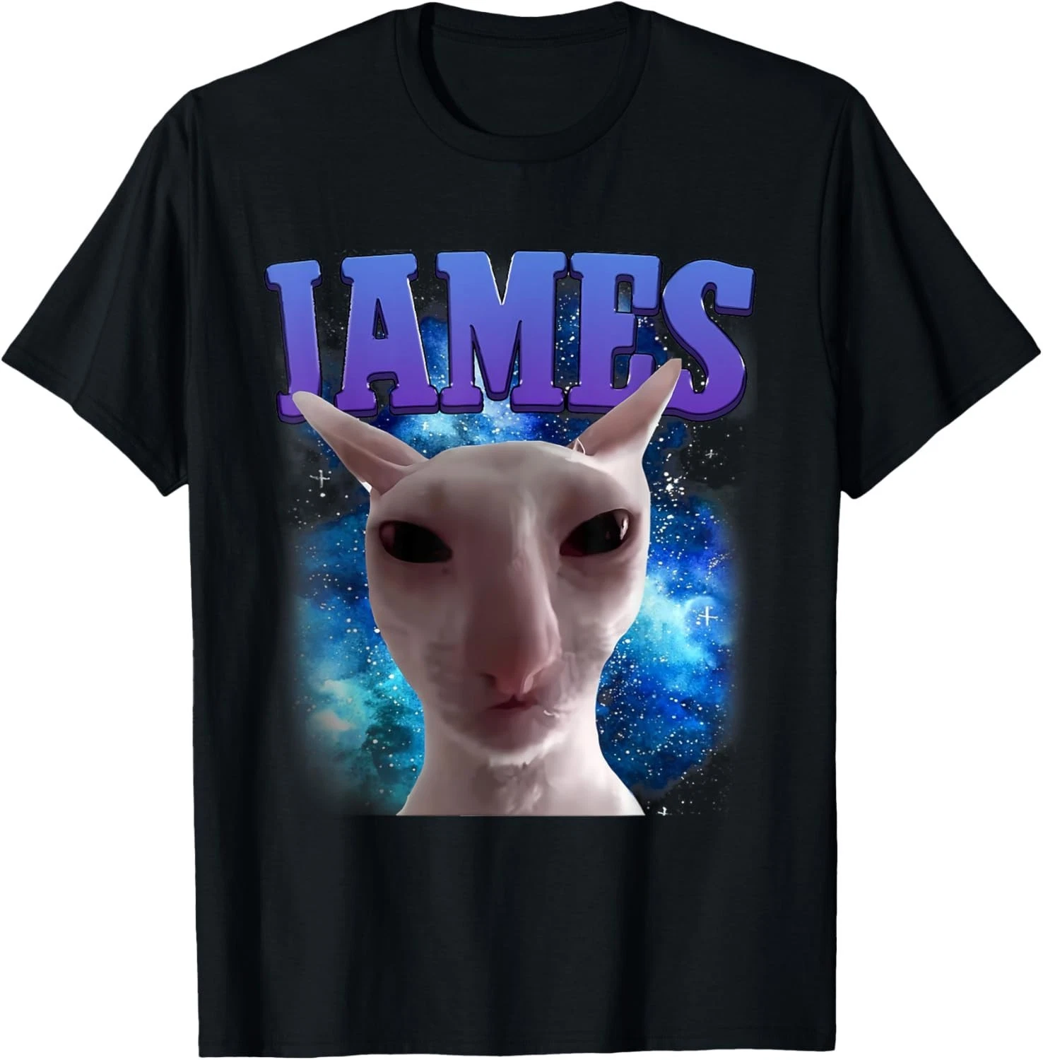 James The Cat Meme Funny Silly Brainrot Viral Internet Joke Unisex T ...