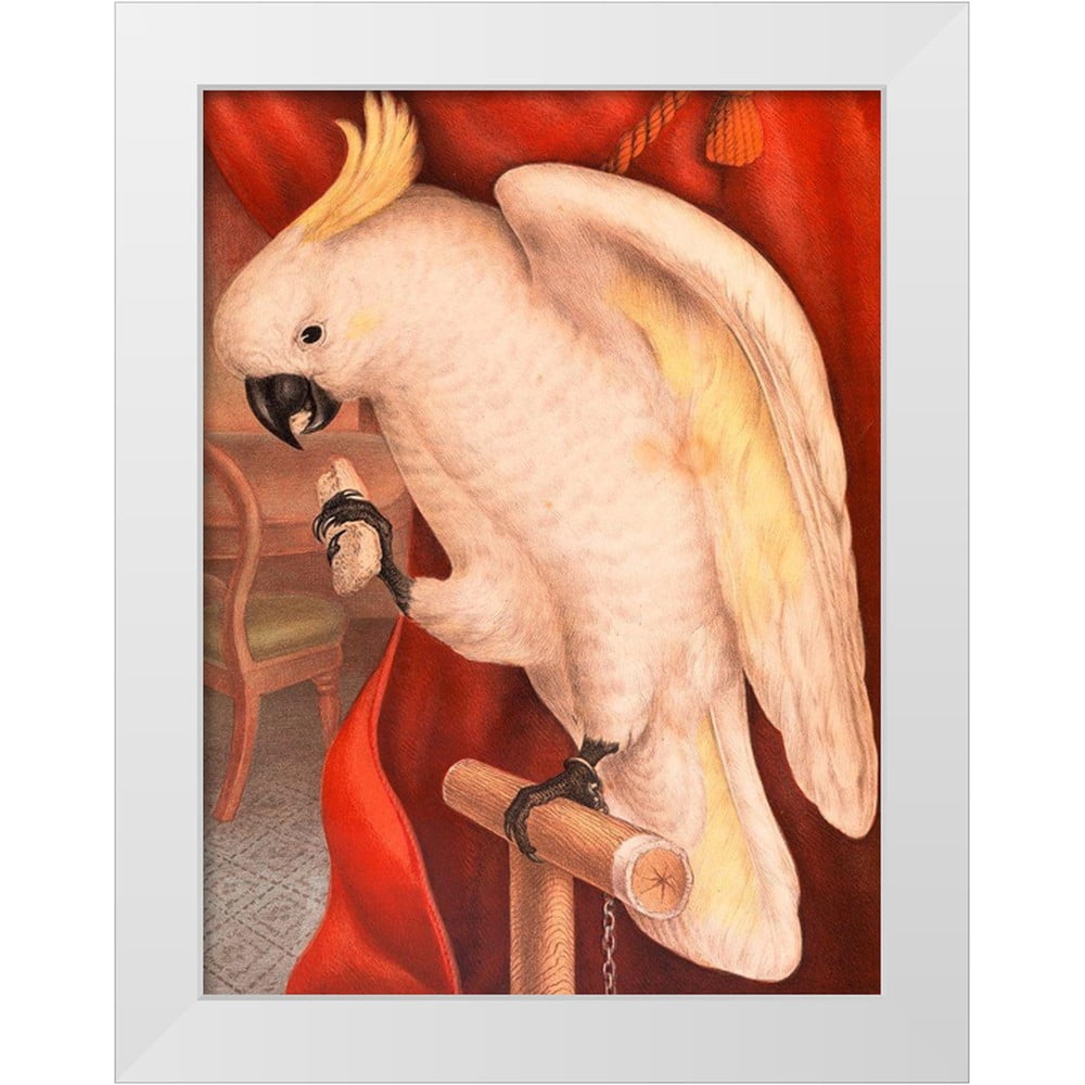 James Whitley, Sayer 12x14 White Modern Wood Framed Museum Art Print ...