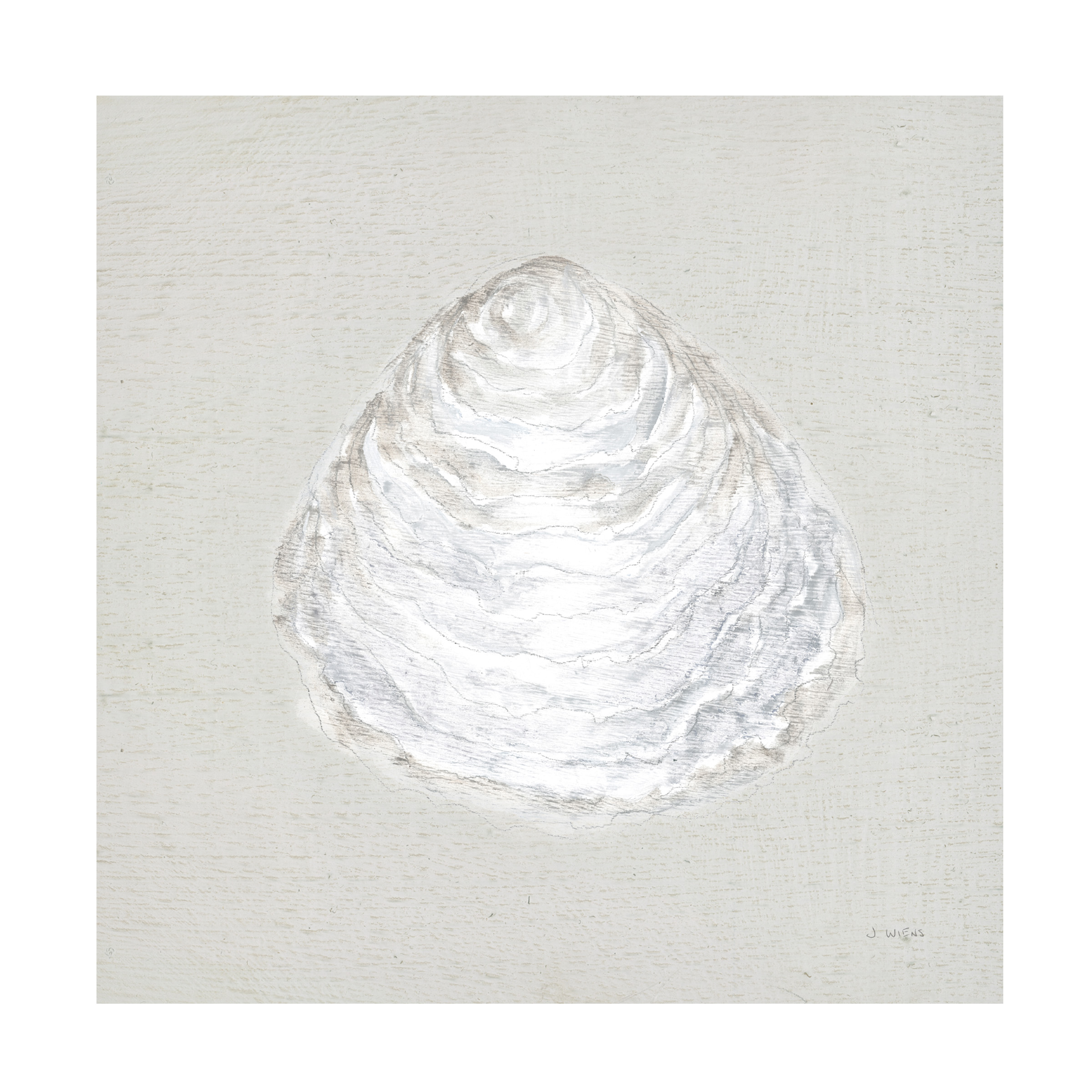 James Wiens 'Serene Shells I Tan' Canvas Art - Walmart.com