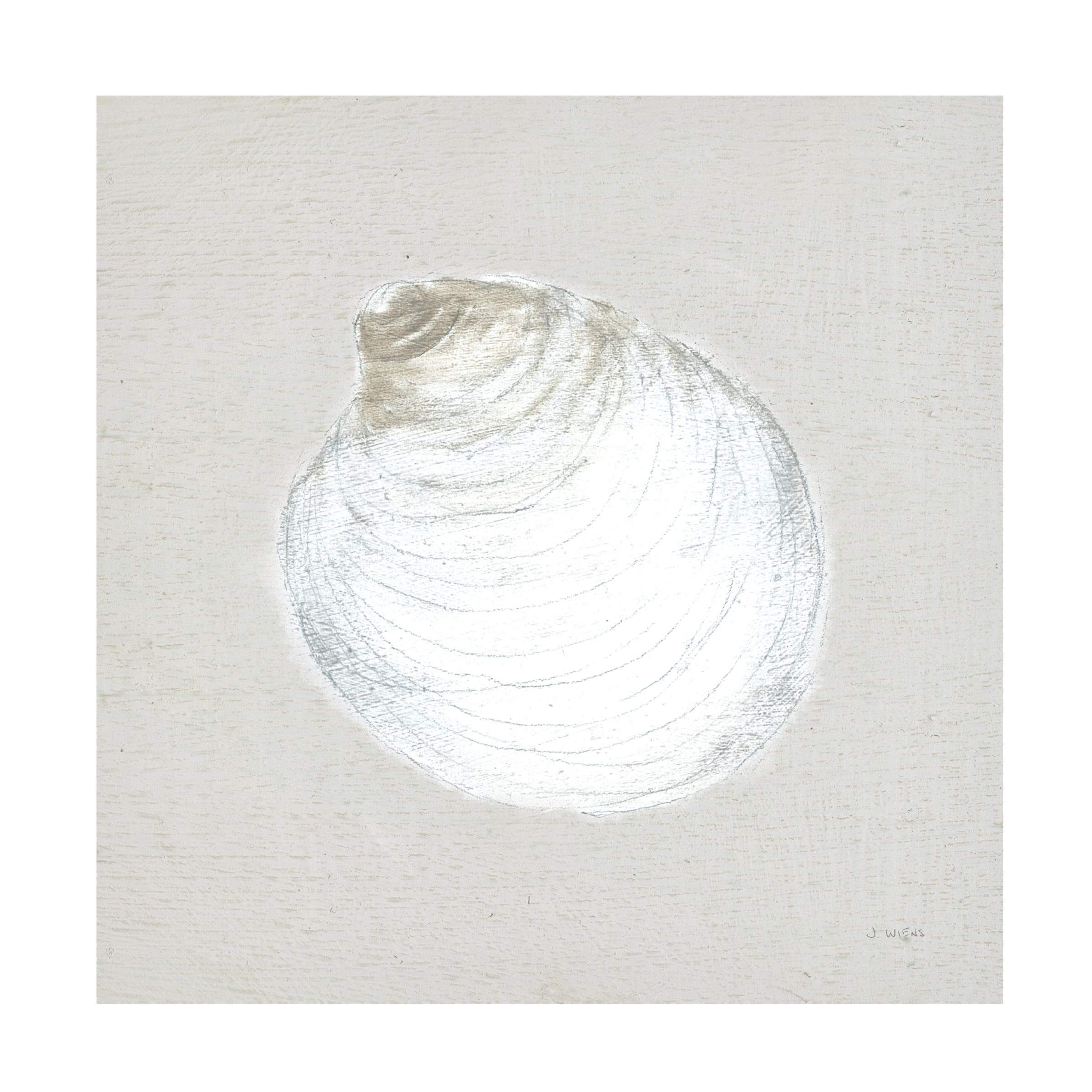 James Wiens 'Serene Shells II Tan' Canvas Art - Walmart.com