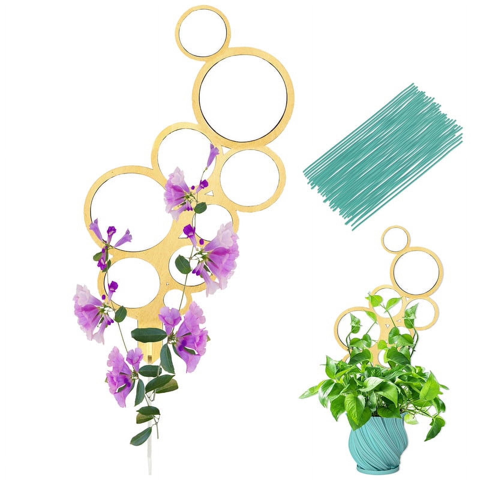 Jamjam Plant Trellises 23'' Wooden Hexagon Super Small Plant Trellis ...