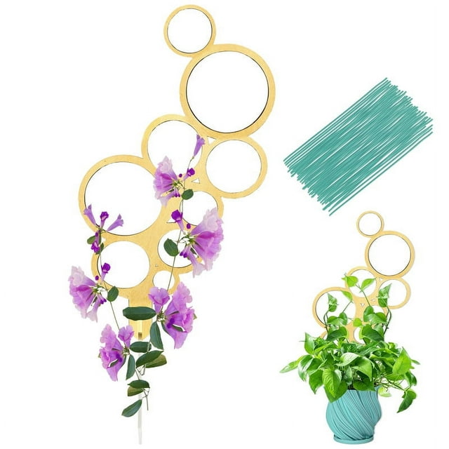 Jamjam Plant Trellises 23'' Wooden Hexagon Super Small Plant Trellis ...