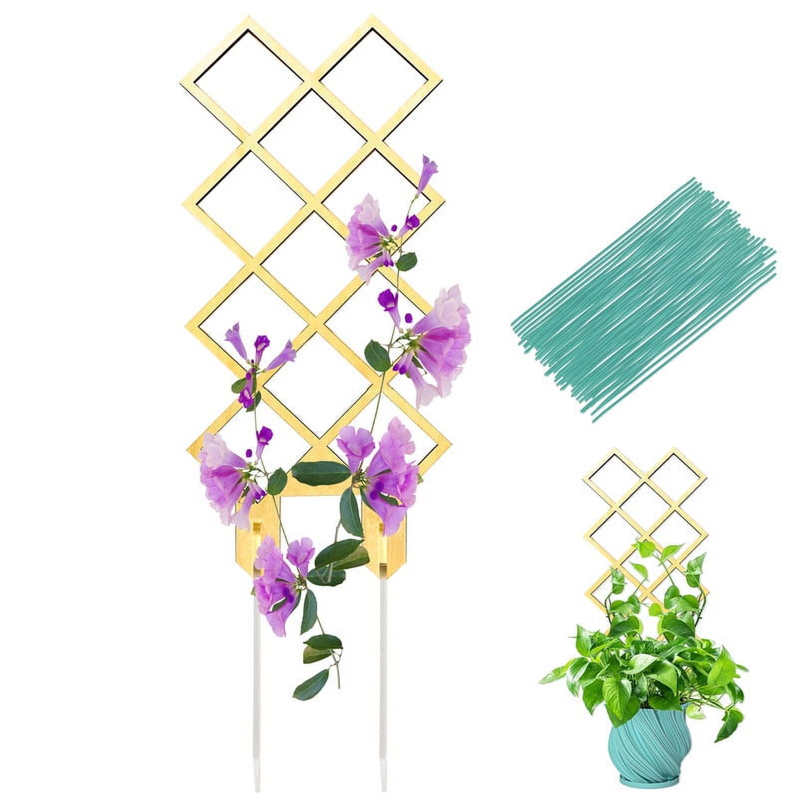 Jamjam Plant Trellises 23'' Wooden Round Plant Trellis Indoor,Hoya ...