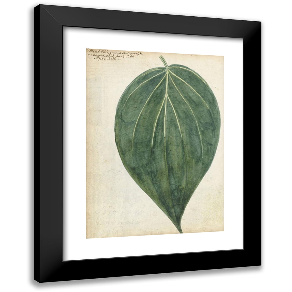 Jan Brandes 14x18 Black Modern Framed Museum Art Print Titled - Sirih ...