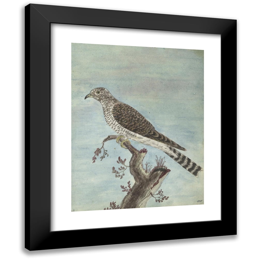 Jan Brandes 19x24 Black Modern Framed Museum Art Print Titled ...