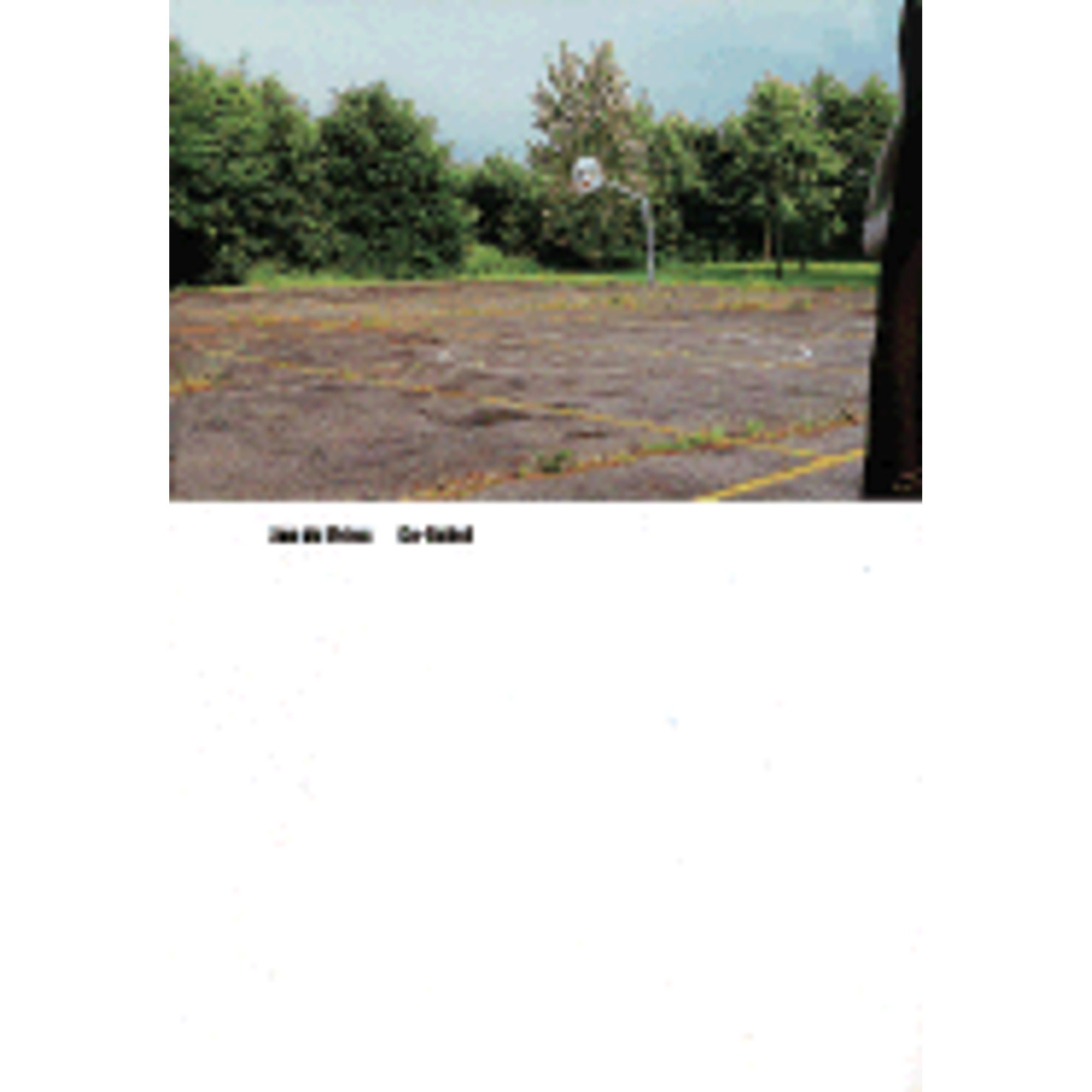Pre-Owned Jan De Vries: Co-Relief (Hardcover 9789069170053) by Pier ...