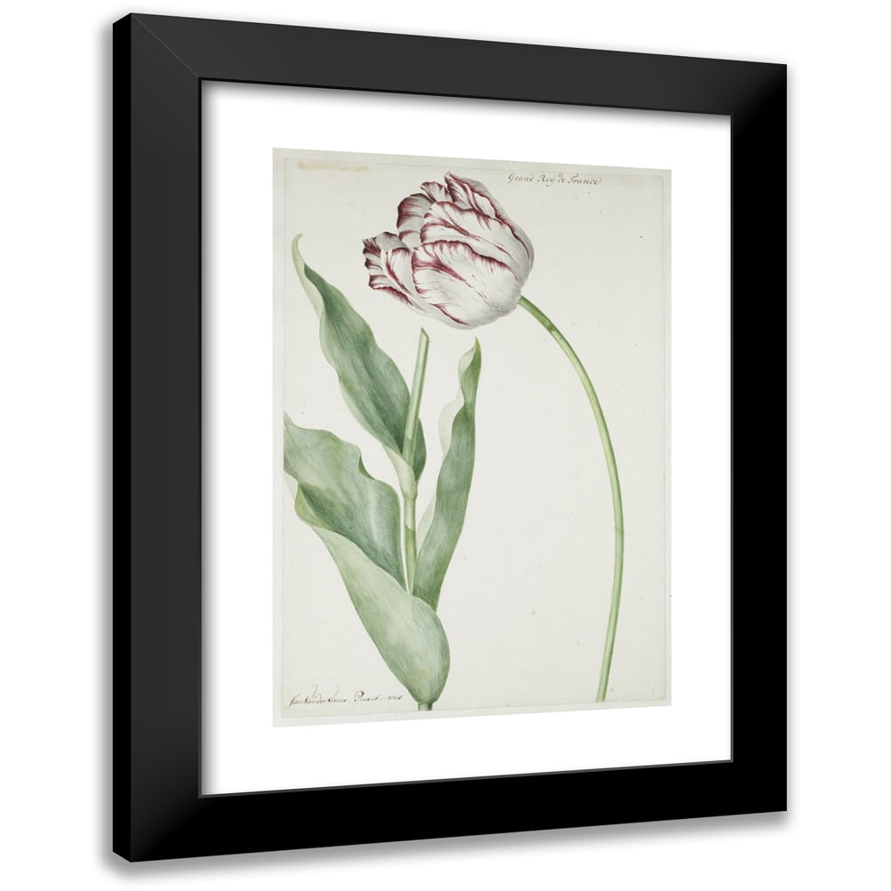 Jan Laurensz. van der Vinne 17x24 Black Modern Framed Museum Art Print ...