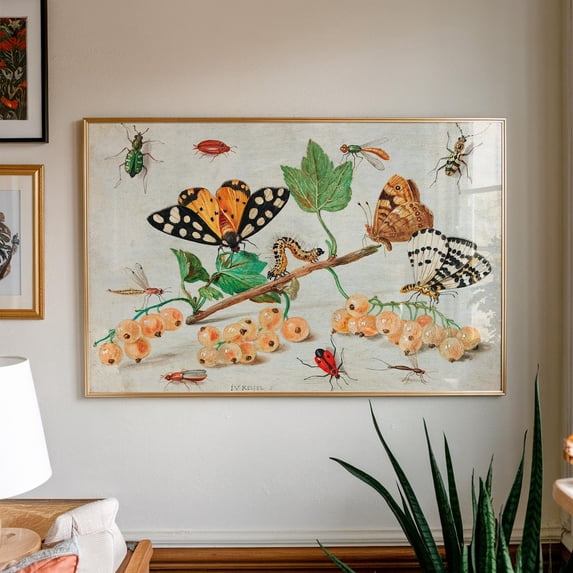 Jan Van Kessel Insect And Fruit Giclée Poster: Vintage Science ...