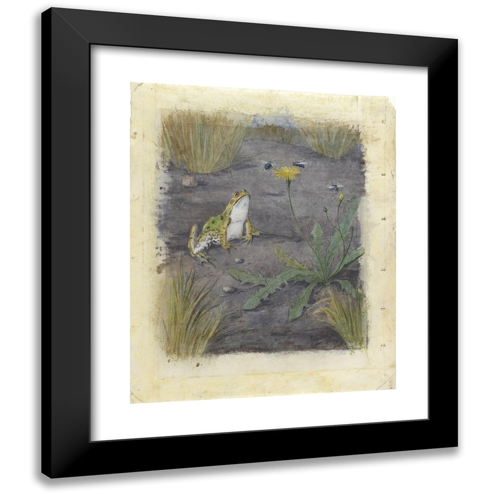 Jan van Oort 15x18 Black Modern Framed Museum Art Print Titled - Frog ...