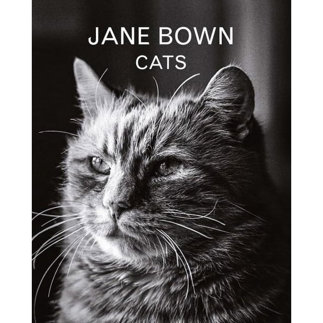 Jane Bown: Cats (Hardcover) - Walmart.com