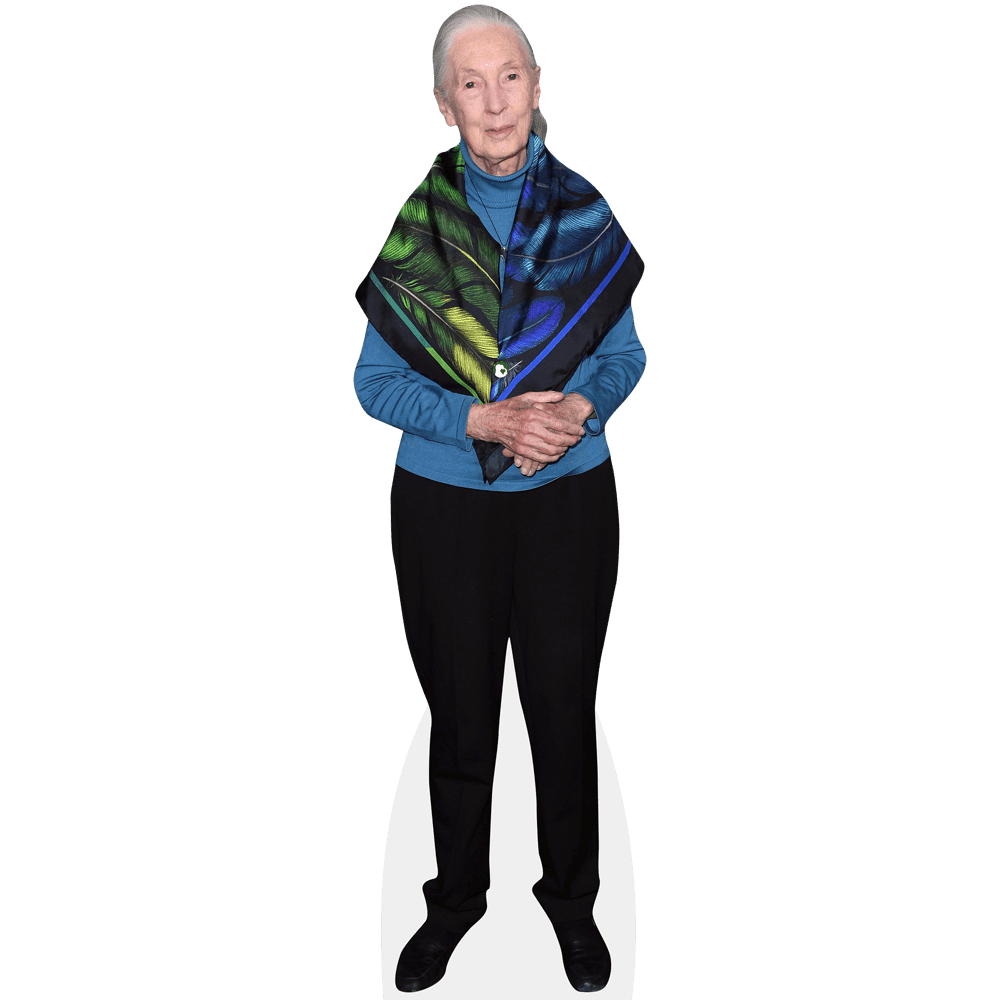 Jane Goodall (Blue) Mini Size Cutout. Standee. - Walmart.com