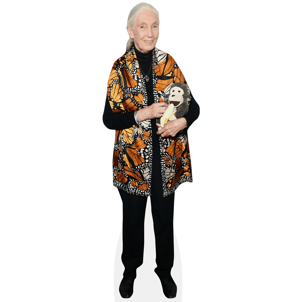 Jane Goodall (Monkey) Life Size Cutout. Standee. - Walmart.com