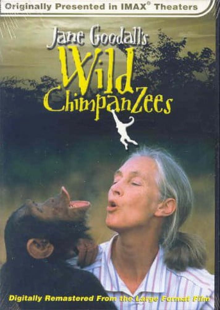 Jane Goodall's Wild Chimpanzees (DVD), Sling Shot, Documentary ...