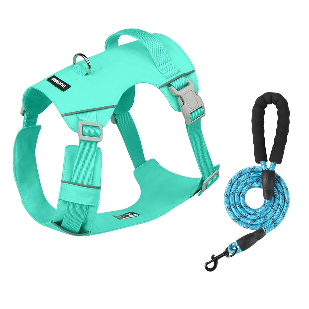 Janrevotw Pet Chest Harness Leash Set - Lightweight Dog Chest Harness ...