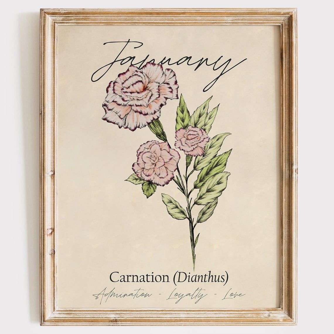 January Birth Flower Carnation Art Print Cross Stitched Style Wall Dã ...