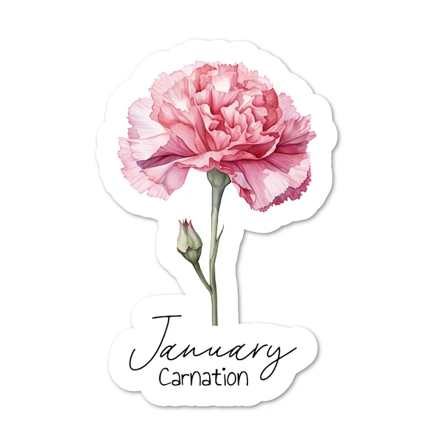 January Carnation Sticker, Water Resistant, Scrapbooking, Laptop,Phone Decal Water Bottle ...