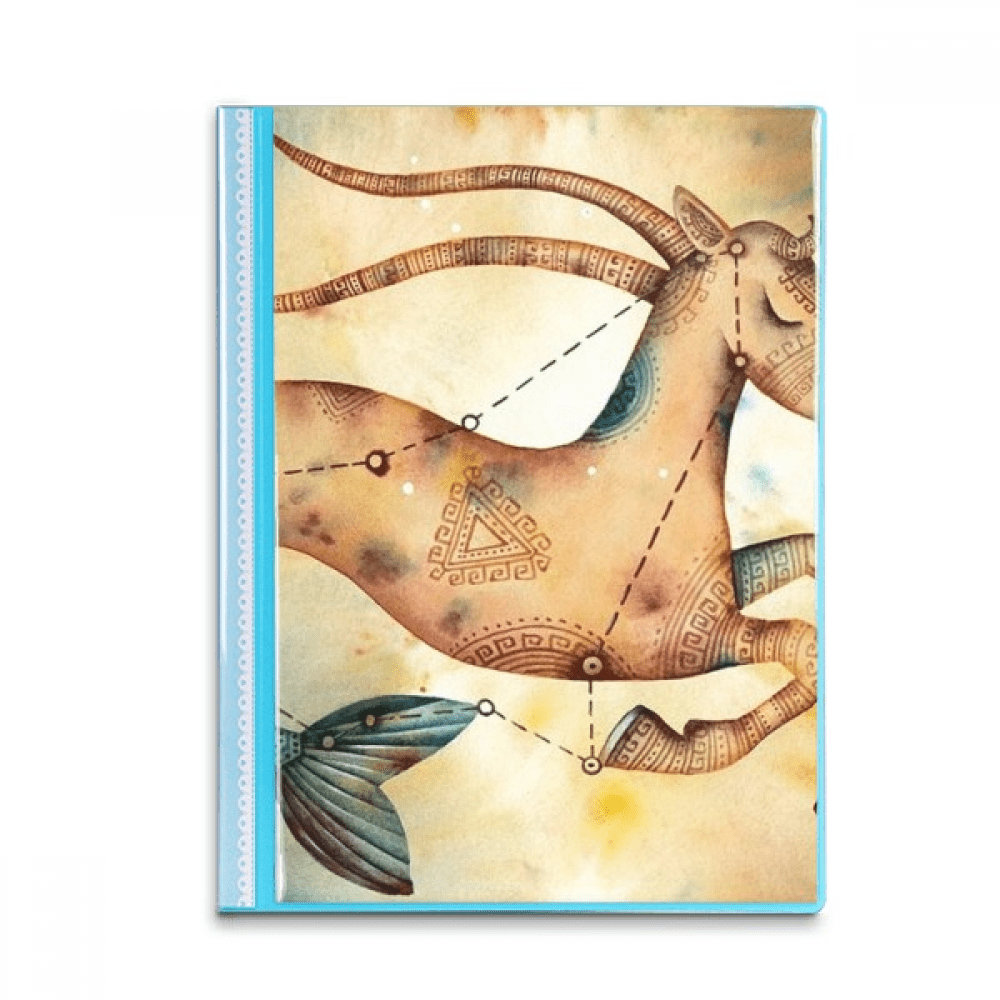January December Capricorn Constellation Zodiac Book Sheet Protectors ...