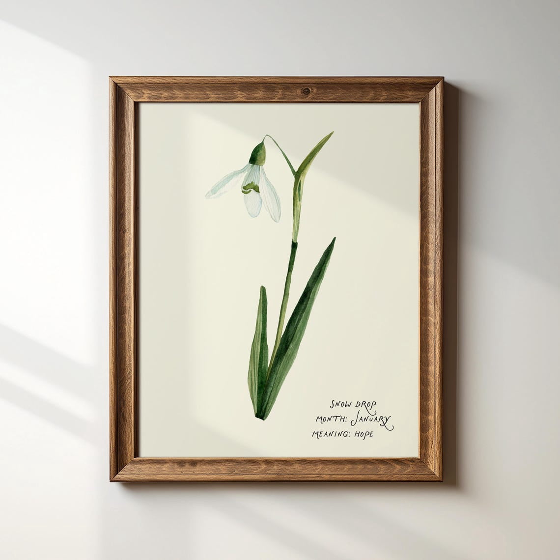 January, Snowdrop, Birth Month Flower Illustration Print, Art Print ...
