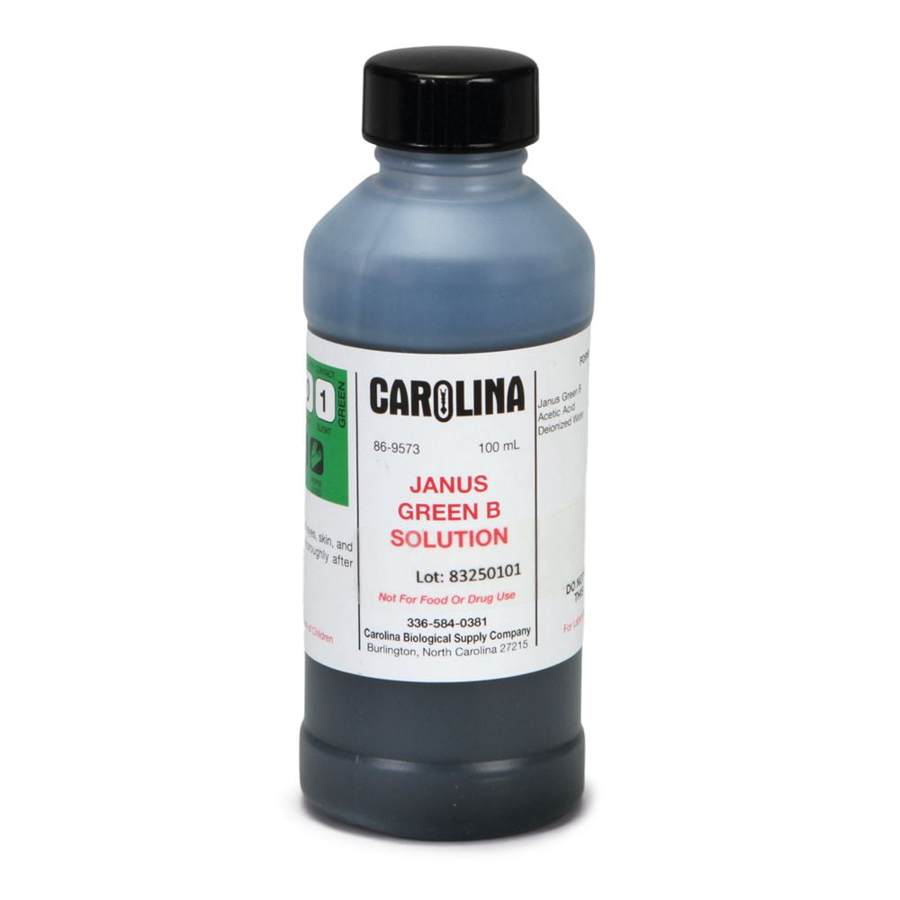 Janus Green B, 0.1% Aqueous, Laboratory Grade, 100 Ml - Walmart.com