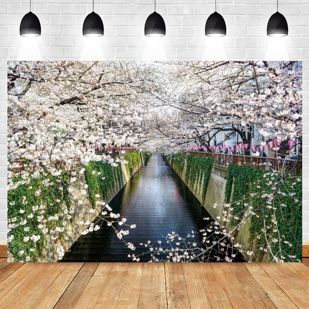 Japan Backdrop Japanese Cherry Blossoms Mount Fuji Landscape Living ...