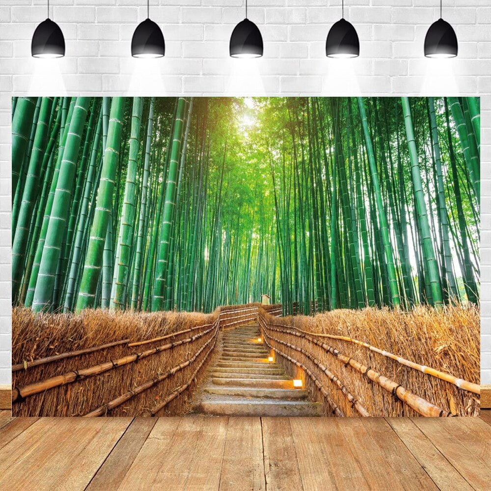 Japan Backdrop Japanese Cherry Blossoms Mount Fuji Landscape Living ...