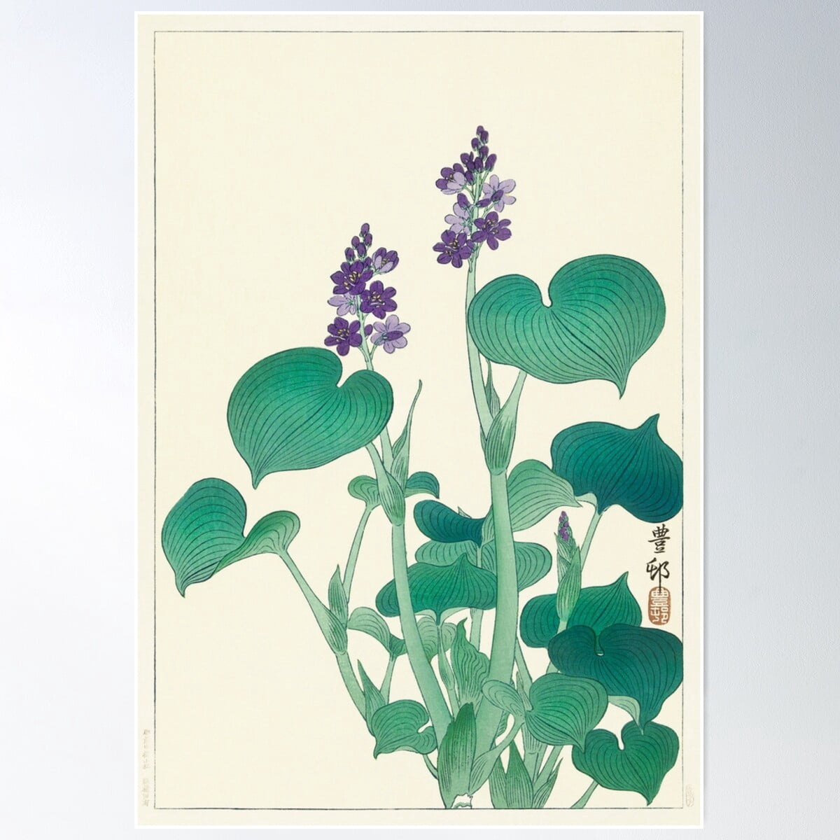 Japanese Art Blooming Hosta (1920 - 1930) By Ohara Koson Poster Wall ...