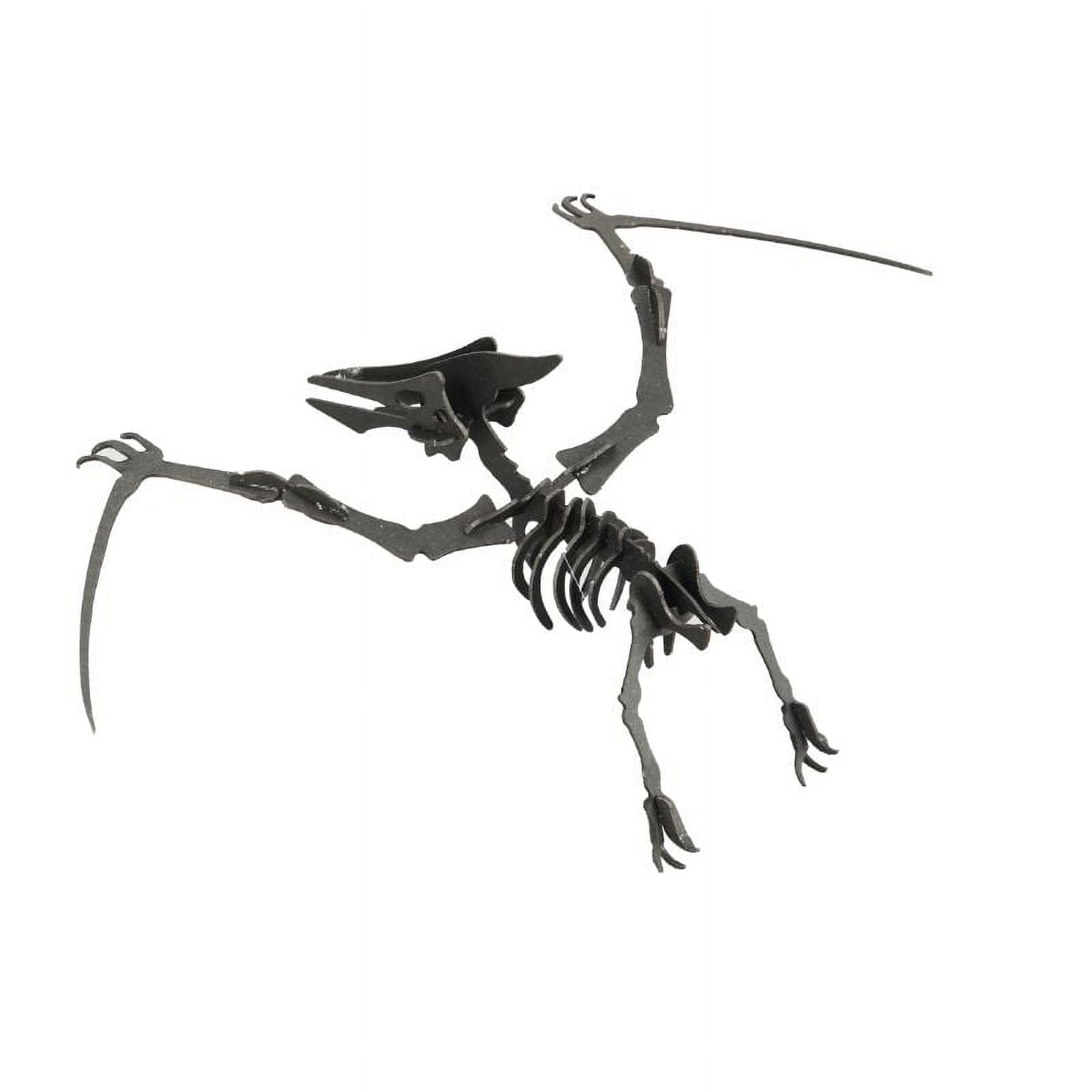 Japanese Art of Paper Craft Winged Dinosaur Pteranodon Premium 3D Paper ...