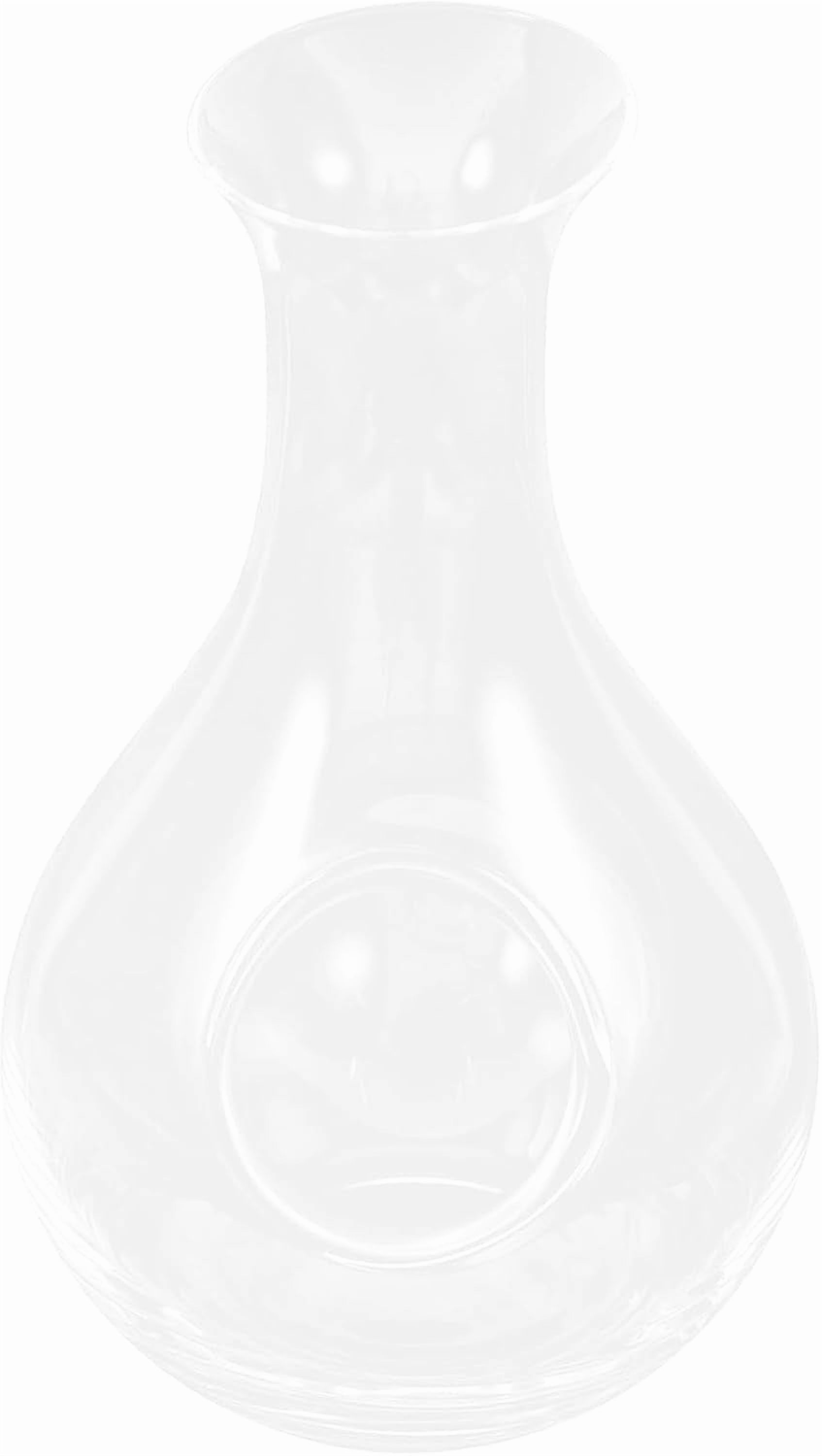 Japanese Cold Sake Decanter Red Wine Decanter with Ice Pocket Cold Sake ...