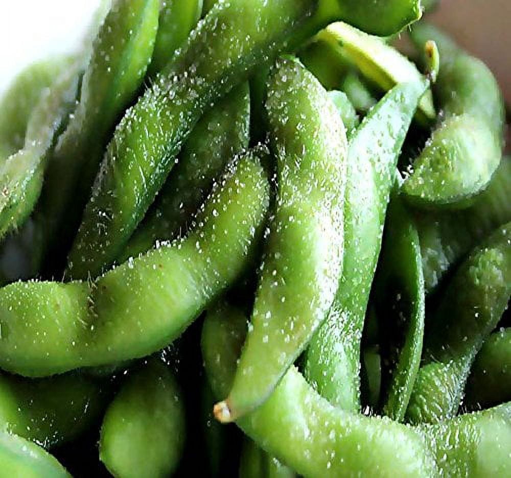 Japanese Edamame Seeds ~~ Soy Bean ZLK1 HIGH in Protein - Young Soy Bean - 80-90 Days (0125 ...