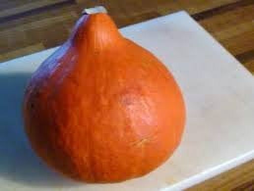 Japanese Heirloom Red Kuri Hokkaido Squash Seed by Stonysoil Seed ...