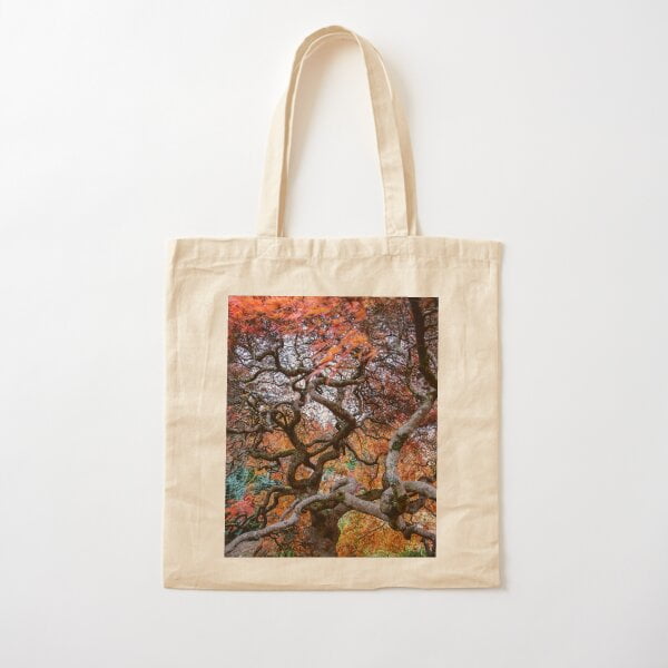 Japanese Maple, Olinda, Victoria, Australia, Cloudehill Garden, Autumn ...