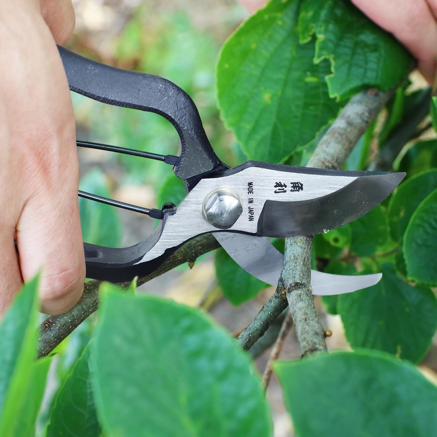 Japanese Pruning Shears Heavy Duty 8 Inch Hand Forged Carbon Steel ...
