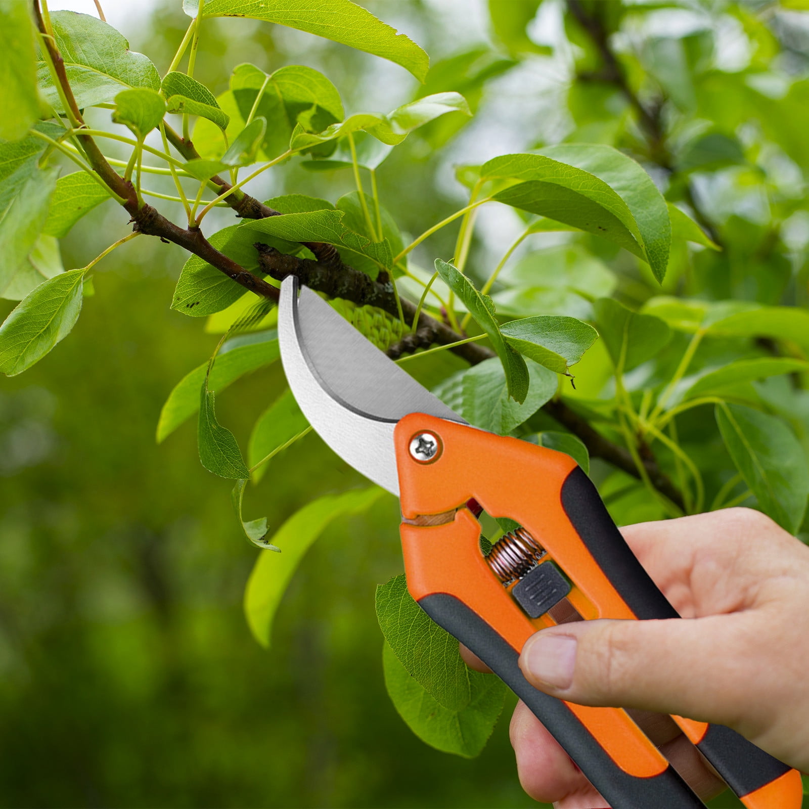 Japceit Garden Pruning Shears, Stainless Steel Blades Handheld Bypass ...