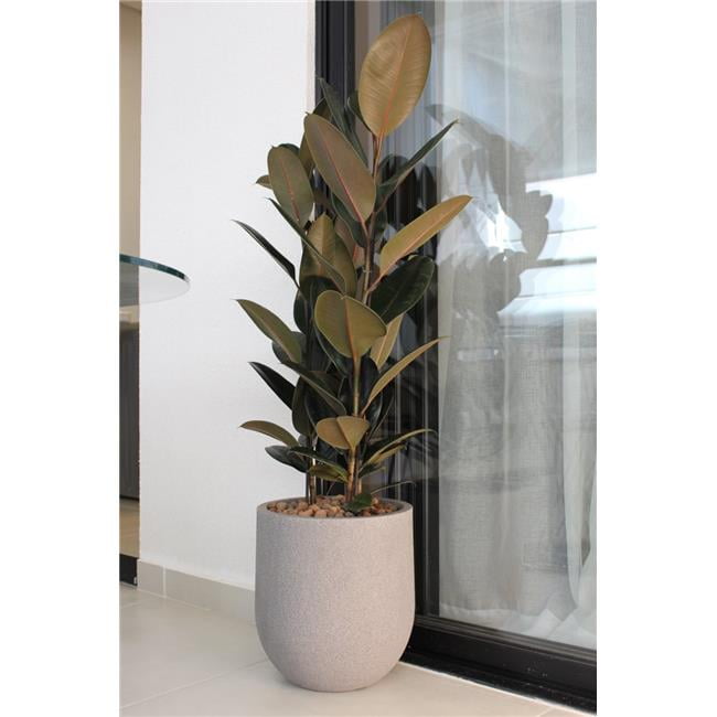 Japi Pottery JVRH55O Japi Pottery - Rustic Cask Planter Stone 21,7'x21 ...