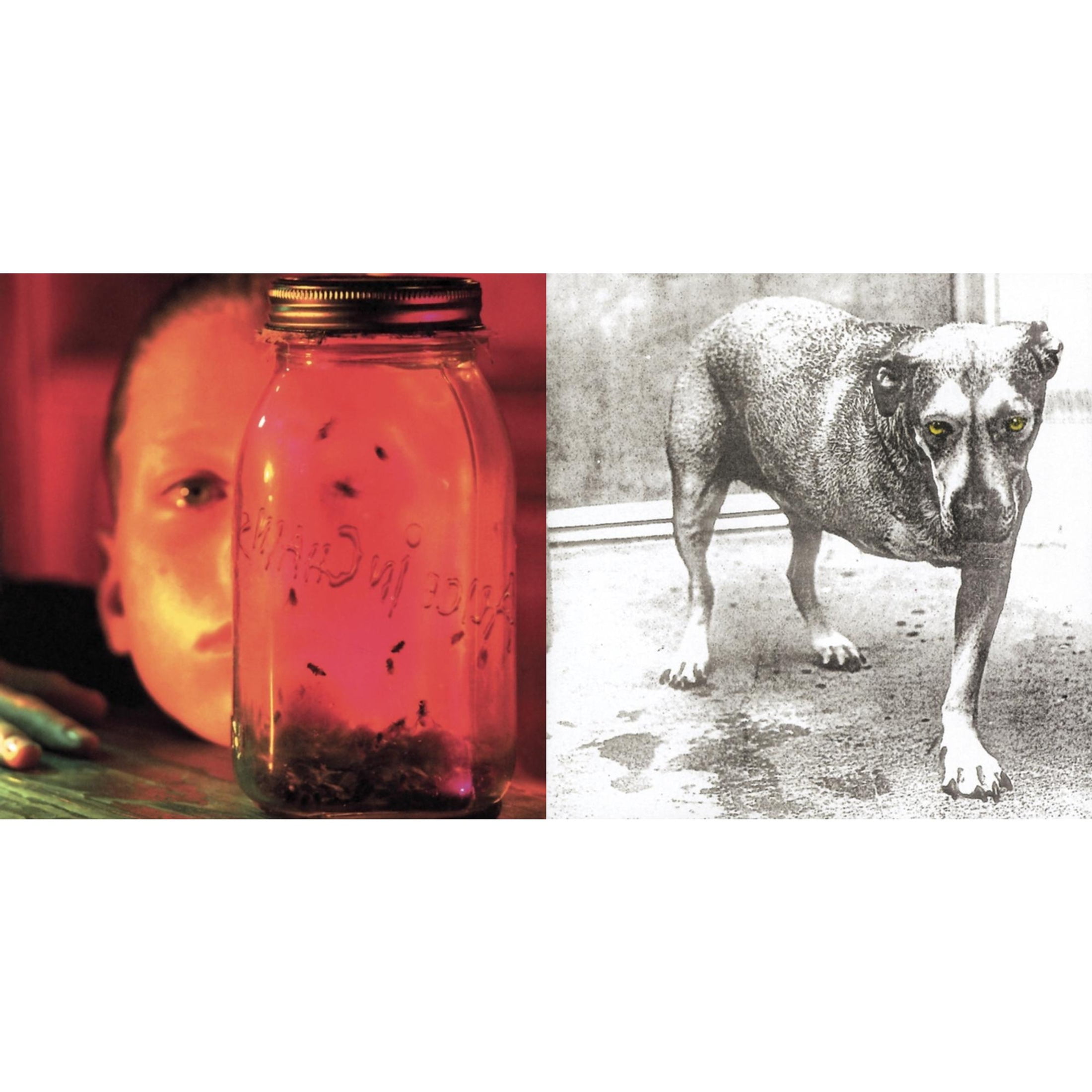 Jar Of Flies & Alice In Chains [CD Bundle] - Walmart.com