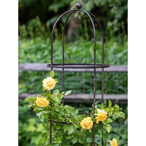 Garden Obelisks