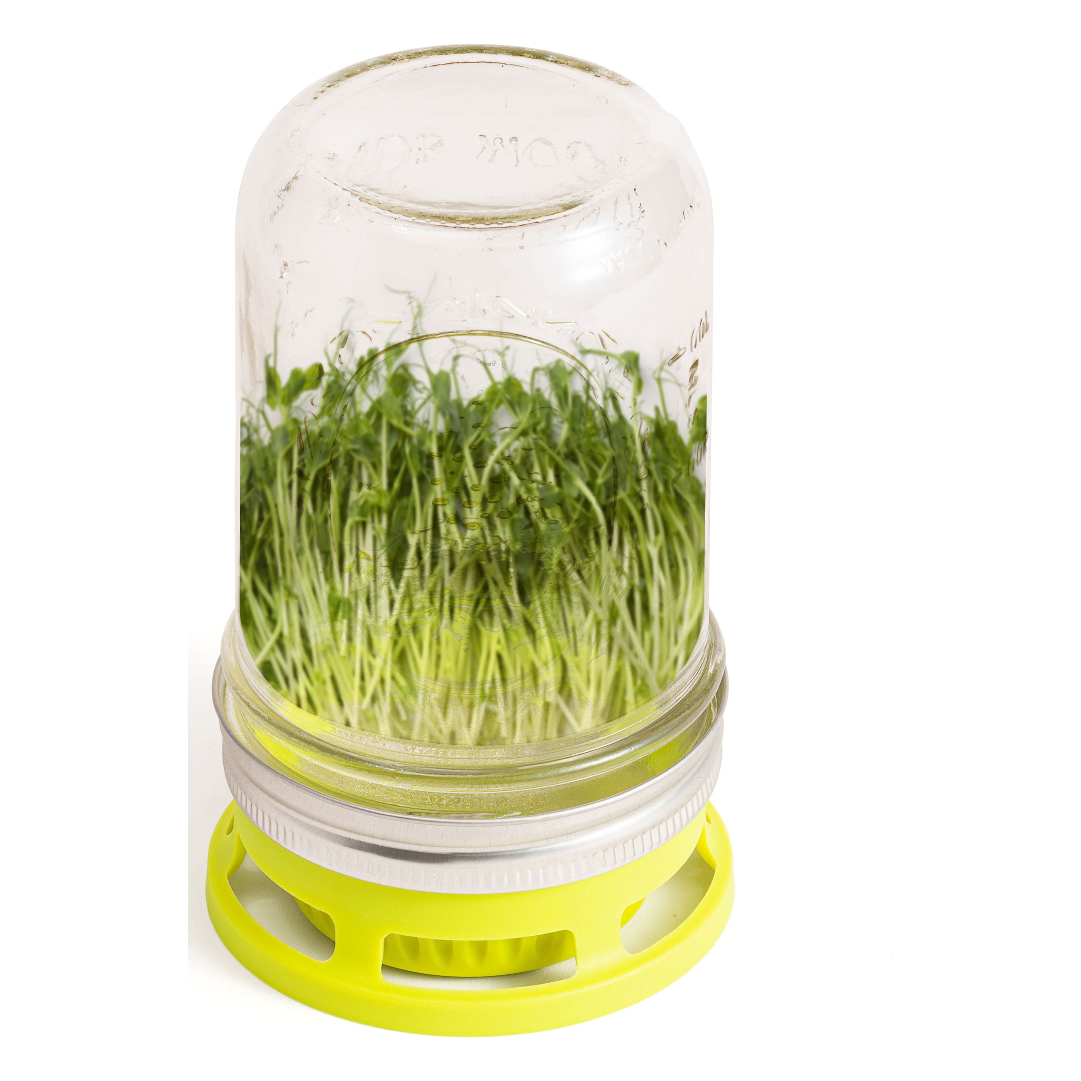 Jarware Seed Sprouter Set of 2 - Walmart.com