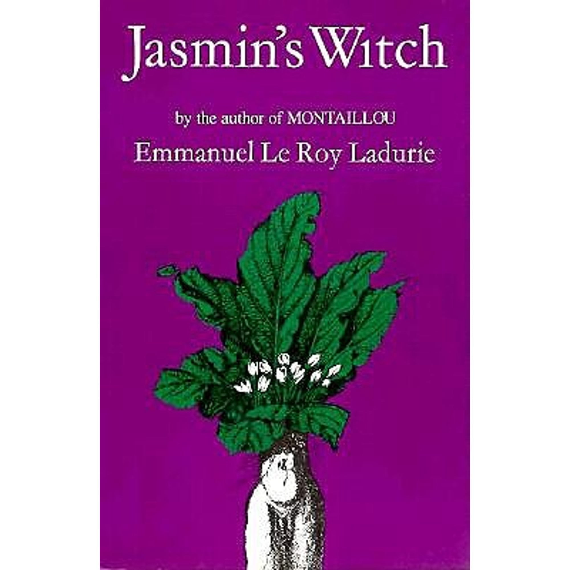 Pre-Owned Jasmin's Witch (Hardcover) 0807611816 9780807611814 - Walmart.com