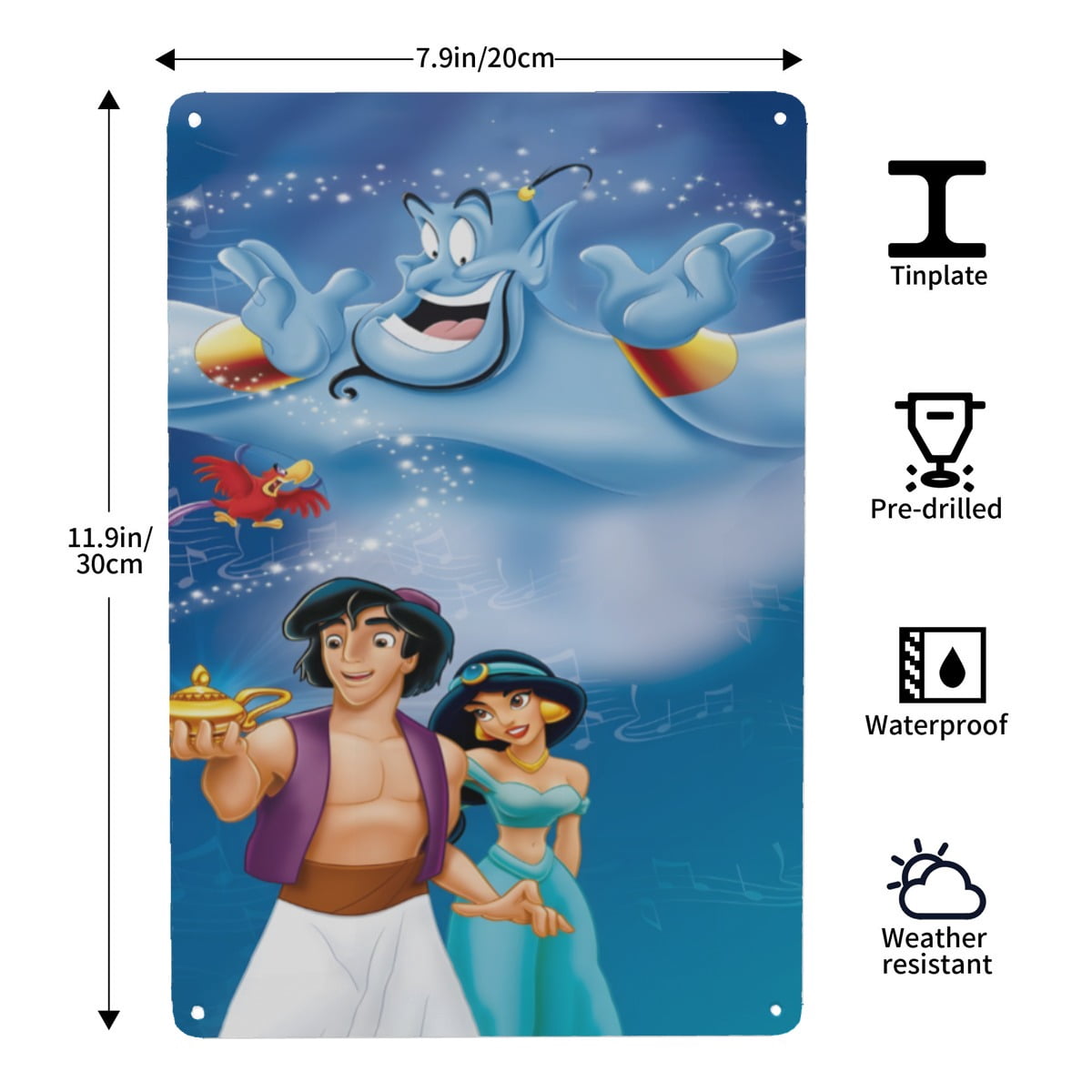 Jasmine Aladdin Princess-themed Tin Painting tin print, 8×12 in (20×30 ...
