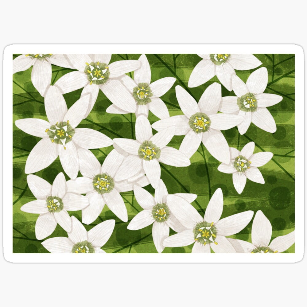 Jasmine Sticker Phone Decal Water Bottle Stickers Car Decals, Laptop ...