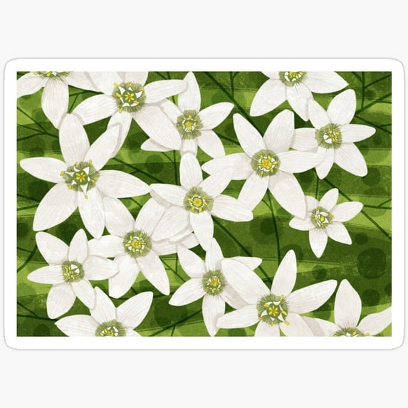 Jasmine Sticker Phone Decal Water Bottle Stickers Car Decals, Laptop ...