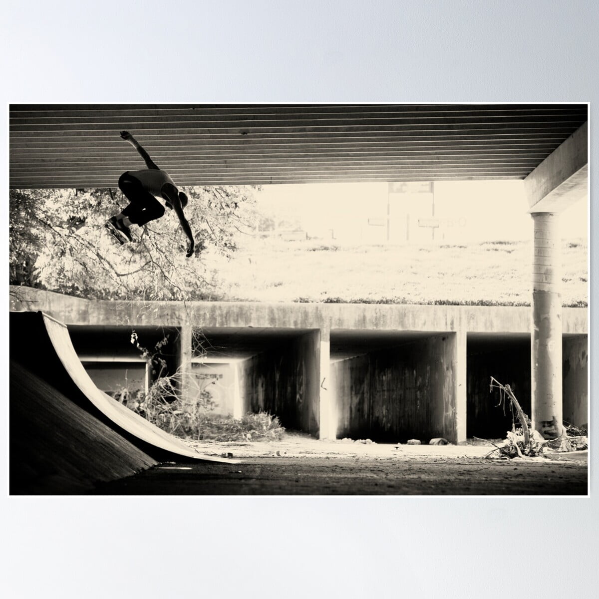 Jason Dill Backside Ollie By Sam Muller Poster Wall Art, Modern Wall ...