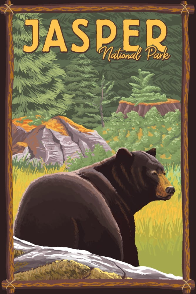 Jasper National Park, Canada, Black Bear in Forest (16x24 Giclee ...