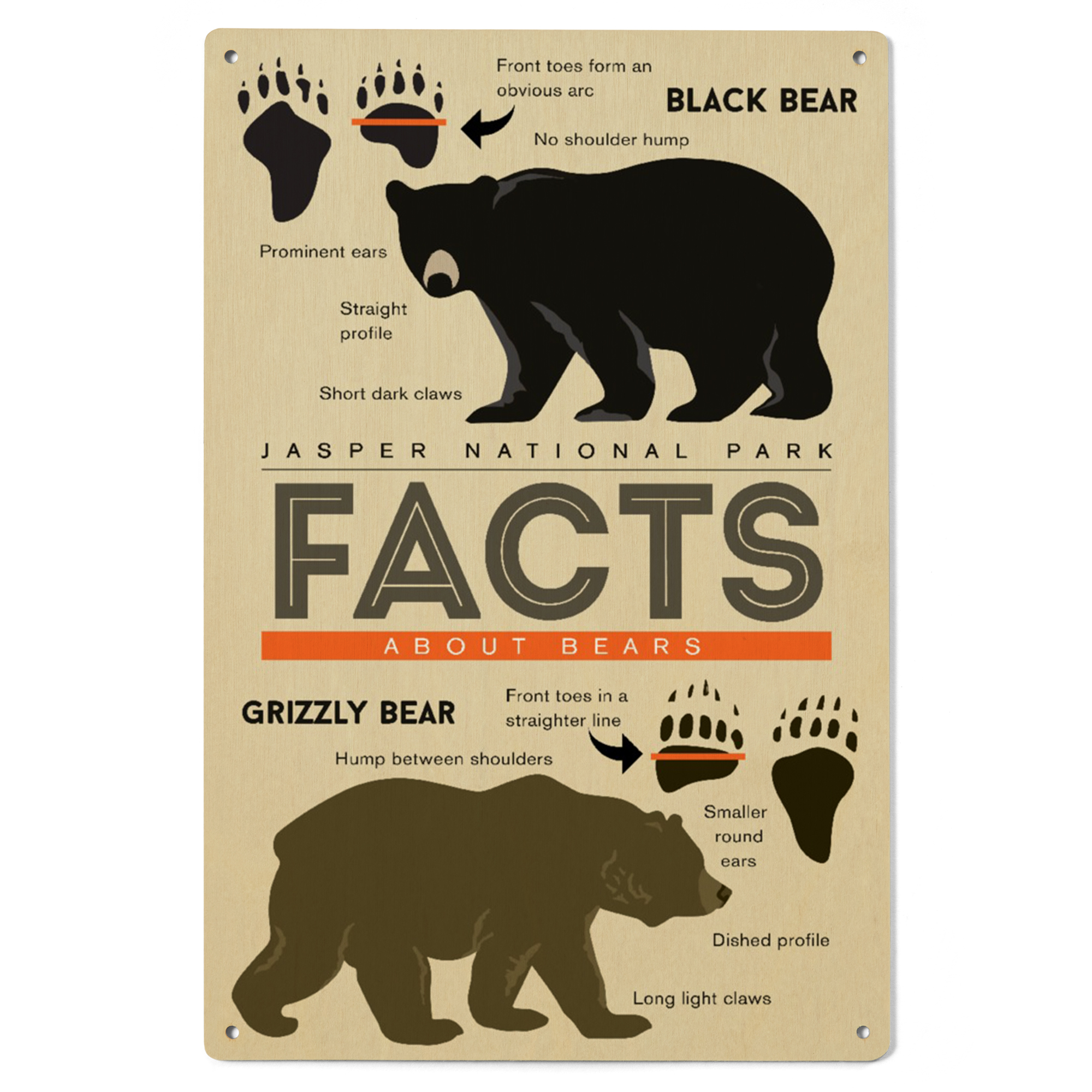 Jasper National Park, Canada, Facts About Bears, Grizzly and Black Bear ...
