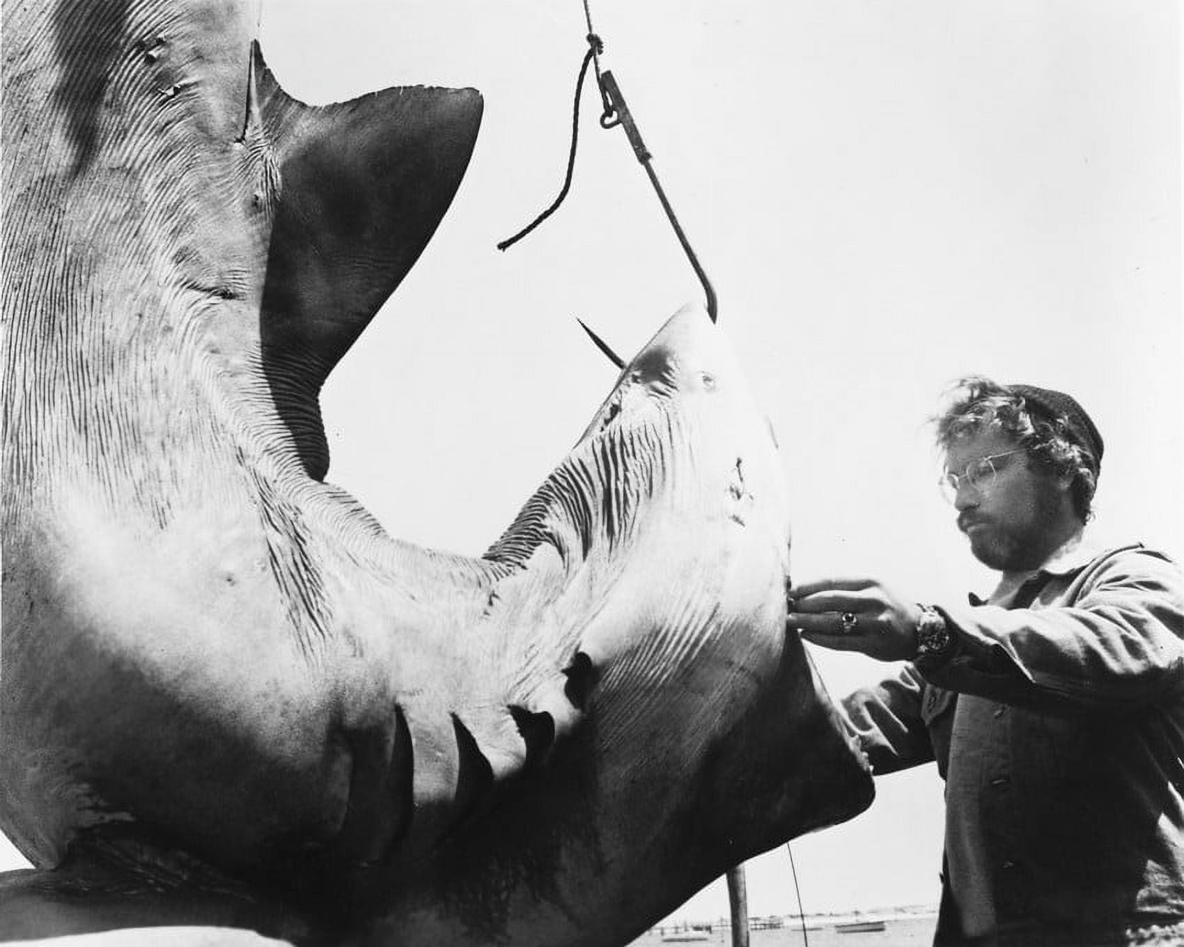 Jaws Richard Dreyfuss & Shark 24x36 Classic Hollywood Poster - Walmart.com