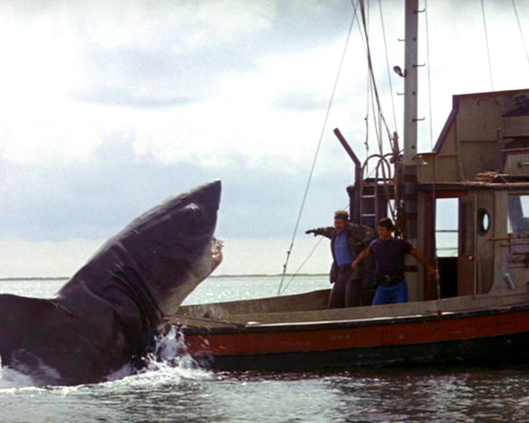 Jaws Roy Scheider Robert Shaw Shark Attacking Orca Boat 24X36 Classic ...
