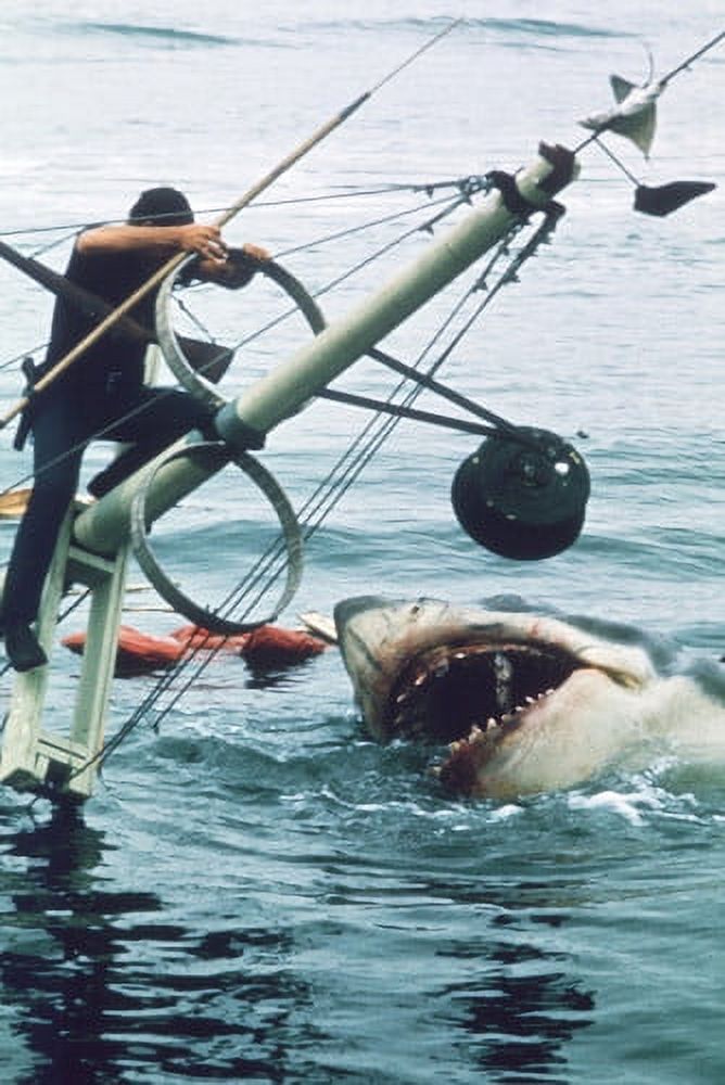 Jaws Roy Scheider on mast of boat looking at shark 24x36 Poster ...